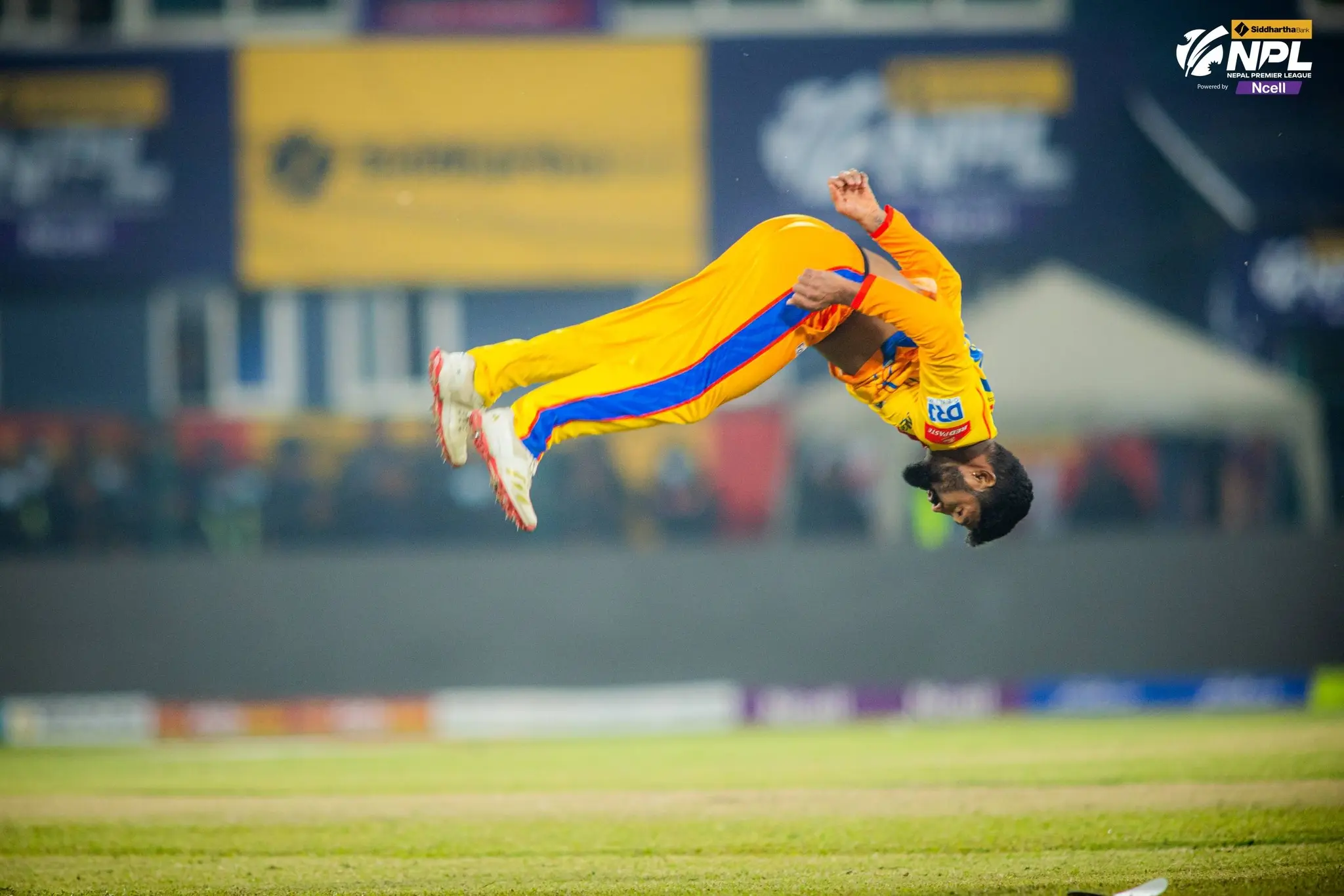 Dipendra Singh Airee Profile, Rankings, News, Teams and Photos ...